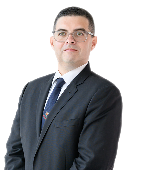 허쉬버그, 탈 (TAL HirshBerg) 미국법자문 미국변호사 | 법무법인(유한) 대륜 전문가 · 변호사 추천